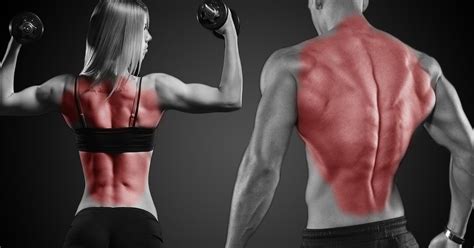 Pin En Fittness