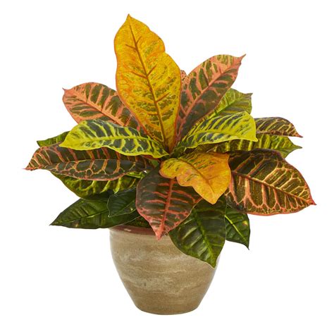 Breebe 15 Garden Croton Plant In Ceramic Planter Real Touch Green P1452 Best Buy
