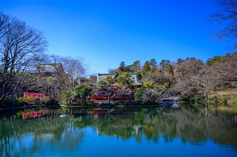 都内ハイキング2井の頭公園と井の頭池 大佐フォト