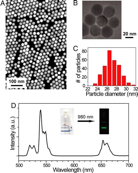 Non Blinking And Photostable Upconverted Luminescence From Single