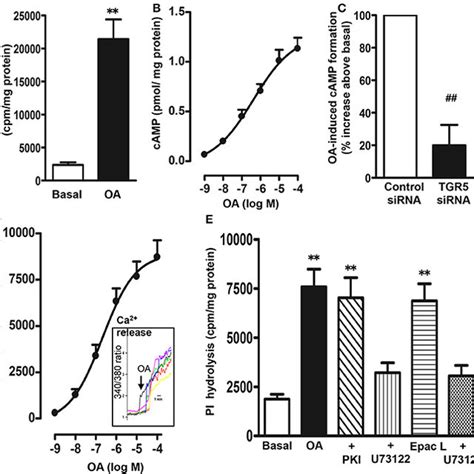 Tgr5 Mediated Signaling Pathways To Release Glp 1 And Pyy And