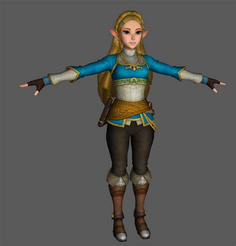 Hyrule Warriors Definitive Edition Botw Zelda By Dsx8 On Deviantart