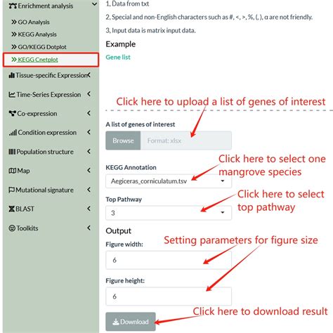 Enrichment Analysis — Mangrovedb Tutorial V10 Documentation