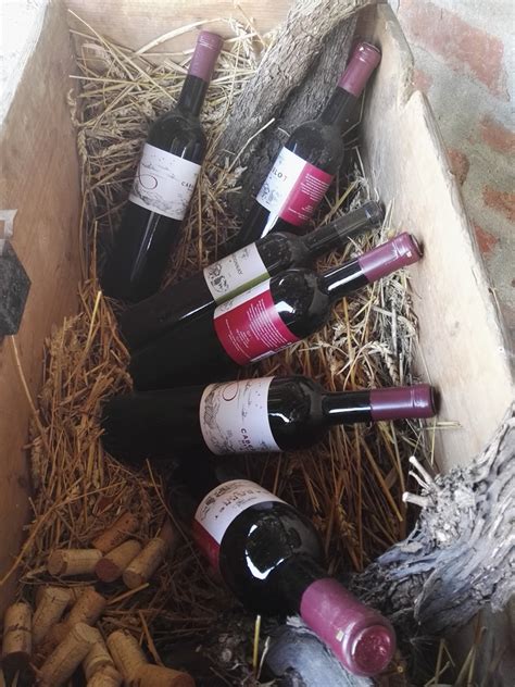 Vinarija Rujevica Vinske Ture