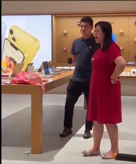 红裙女北京专卖店怒砸iphone再背诵《满江红》 警召救护车强制送医 星岛日报
