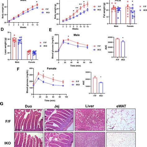 Sec16b Iko Mice Are Protected From Hfd Induced Obesity A And B