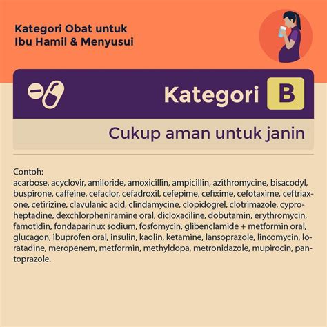 Swiperx Penggunaan Obat Pada Ibu Hamil Dan Menyusui