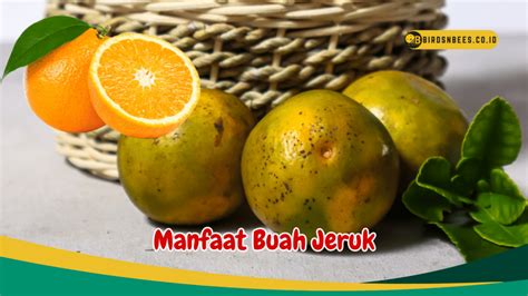 Bikin Awet Muda Intip 6 Manfaat Buah Jeruk Untuk Kesehatan Birds N Bees
