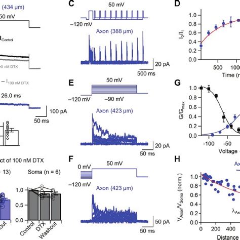 Modulation Of Synaptic Transmission At Ca1 Pyramidal Neuron Ca1 Download Scientific Diagram