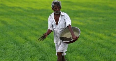 Why People Talk About Swaminathan Commission Report As Remedy Whenever