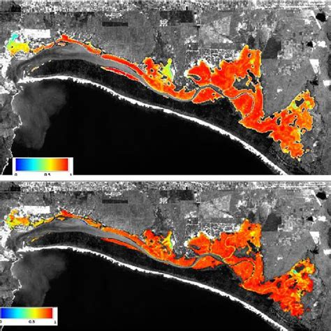 2 Mangrove Index Image Above And Ndvi Image Below Of Alas Purwo Download Scientific