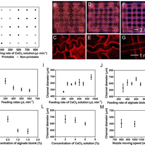 Bioprinting Performance Of Alginate Bioinks A Printability Map Download Scientific Diagram