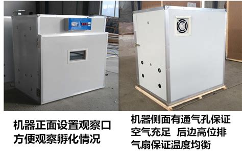 孵蛋器 家用小型528枚彩钢板智能家禽化出雏一体孵箱全自动孵化机 阿里巴巴