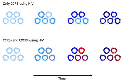 Evolution Of Hiv Coreceptor Usage During The Progression Of The
