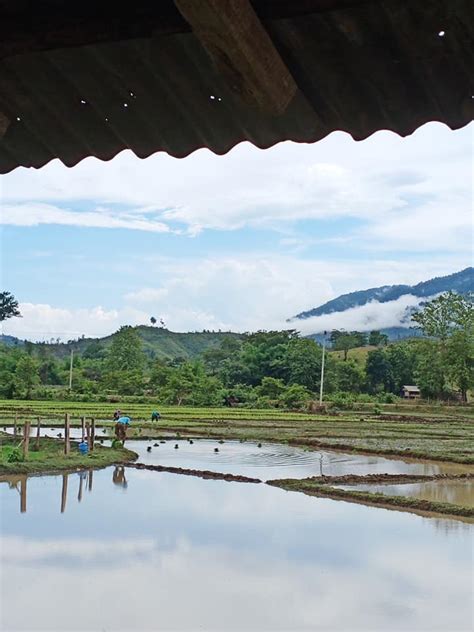 ບ້ານເມືອງປາ ເມືອງປາກລາຍ ແຂວງໄຊຍະບູລີ Laos Paklay