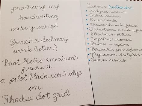 Curvy Script R Handwriting