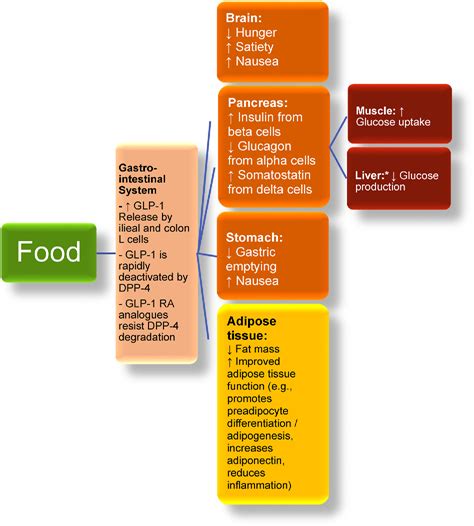 Table 1 From Anti Obesity Medications And Investigational Agents An