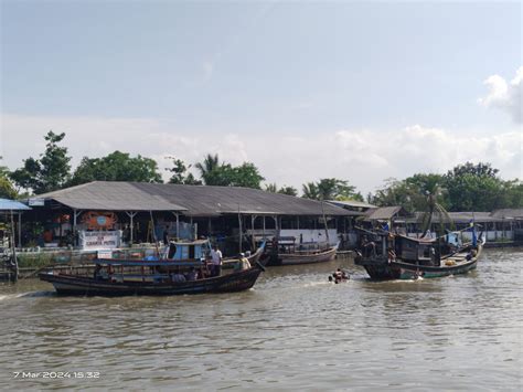 Sensasi Pemandangan Paluh Laut Dan Burung Camar Di Bagan