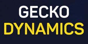 Gecko Dynamics Reviews View Portfolios DesignRush
