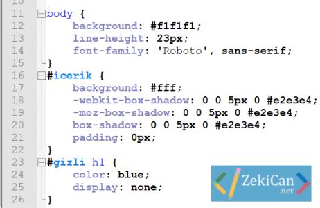 CSS Kodlarının Yapısı ZekiCan Net