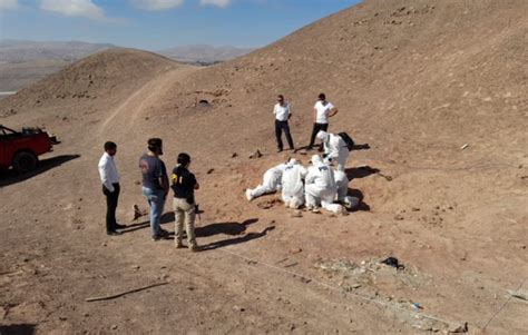 Brigada de Homicidios de la PDI Investiga Hallazgo de Cadáver en Alto
