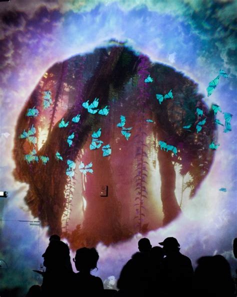 What We Do Algorithm Immersive Algorithm