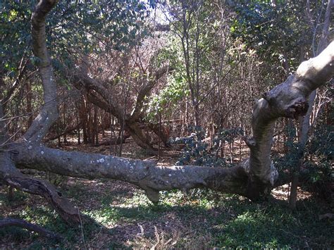 Technical Vs Adaptive Problems I Dont Quite Know Why This Distinction