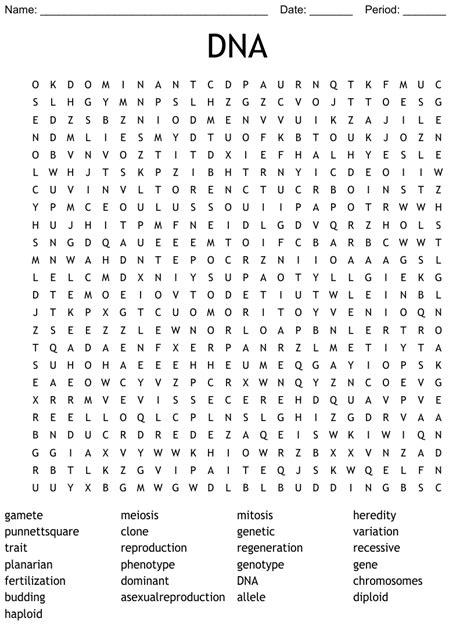 Similar To Heredity And Genetics Word Search WordMint
