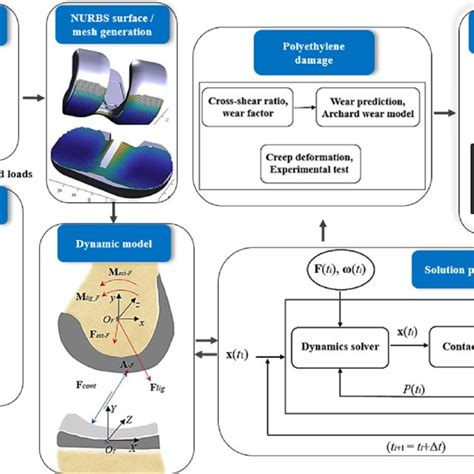 A Diagram Illustrating The Workflow Of The Model Developed Throughout Download Scientific