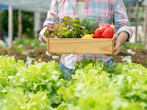 副業で農業はできる？農業を始める5つの方法とオススメの作物を紹介！ Agri Journal