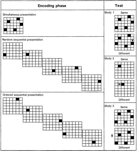 The Matrix Task Example Of A Level 5 Item Download Scientific Diagram