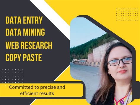 perfect data entry typing web research data mining and copy paste