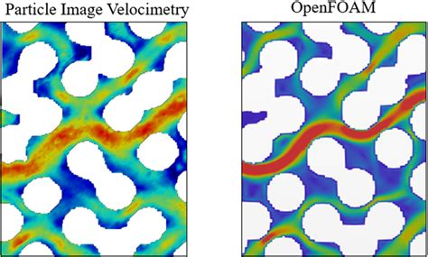 Velocity Maps For Intentionally Blocked Heterogeneous Micromodel Hm8