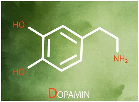 Premium Vector Formula Vector Thin Line Icon Of Molecular Structure