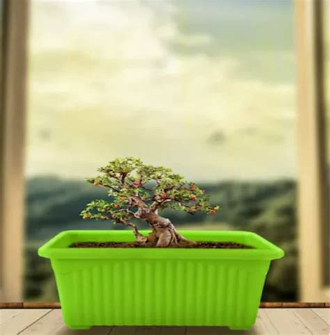 Red Rectangle Plastic Planter At ₹ 40piece Rectangular Pot In New