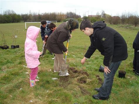 Tree Planting Activity In Hull Dialogue Society