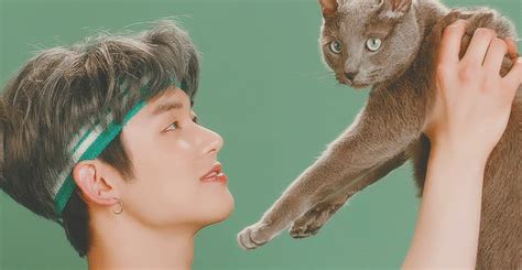 Who Is Your K Pop Boyfriend Find Out Which Idol Matches Your Personality