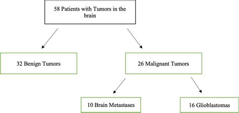Distribution Of Tumor Entities Within The Trial Download Scientific