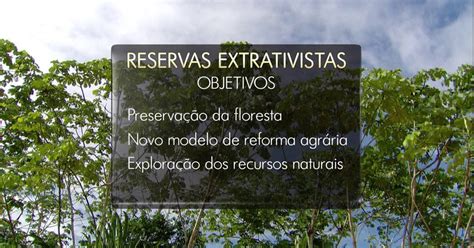 Natureza Reservas extrativistas no Acre são marcadas pelos contrastes