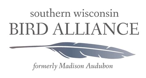 Bird Collision Corps — Southern Wisconsin Bird Alliance