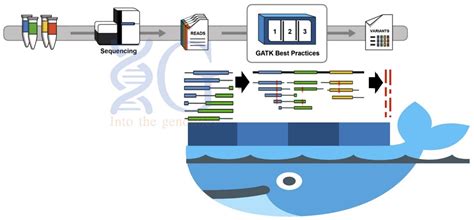 Pubudu Samarakoon On Linkedin Medium Genomics Docker Gatk