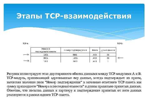Протоколы Tcp Ip Общая информация Стек протоколов Tcp Ip