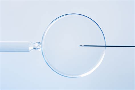 Somatyczna Terapia Genowa Ex Vivo In Vivo Terapie Genowe