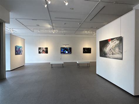 tokenized exhibitions nft the americas collection art gallery