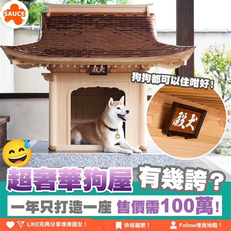【超奢華狗屋 一年只打造一座 售價需100萬！】 Sauce 為生活加一點味道