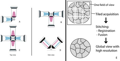 Considerations For Cleared Tissue Imaging With Light Sheet Fluorescence