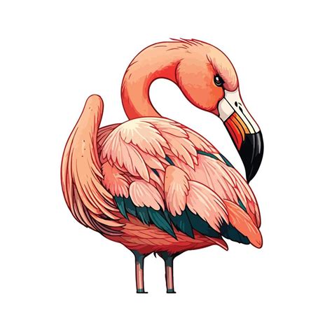 Cute Flamingo Cartoon Style 20901471 Vector Art At Vecteezy