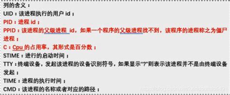 Linux的基本指令（2） 航行学园