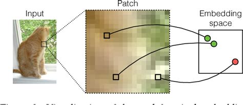 segmentation aware convolutional networks using local attention masks