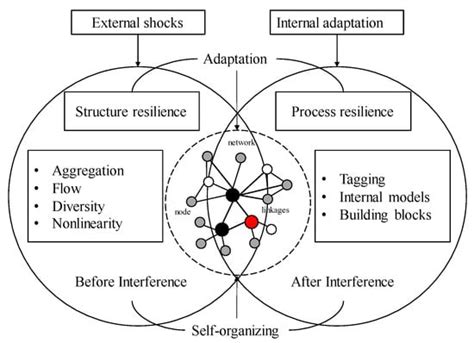 Land Free Full Text Evaluation Of The Spatial Effect Of Network